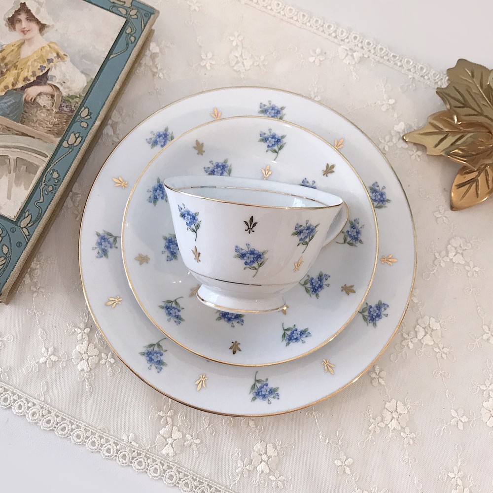 vintage forget me not plates & coffee cup set