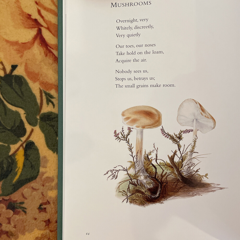 vintage book of garden flowers and poems