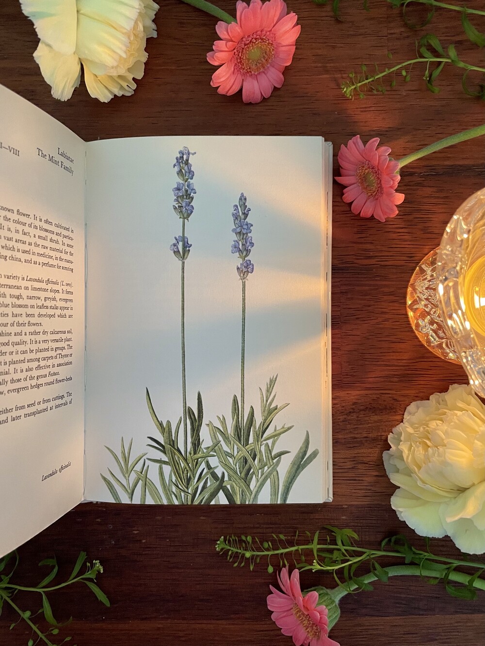 vintage garden flower book, UK