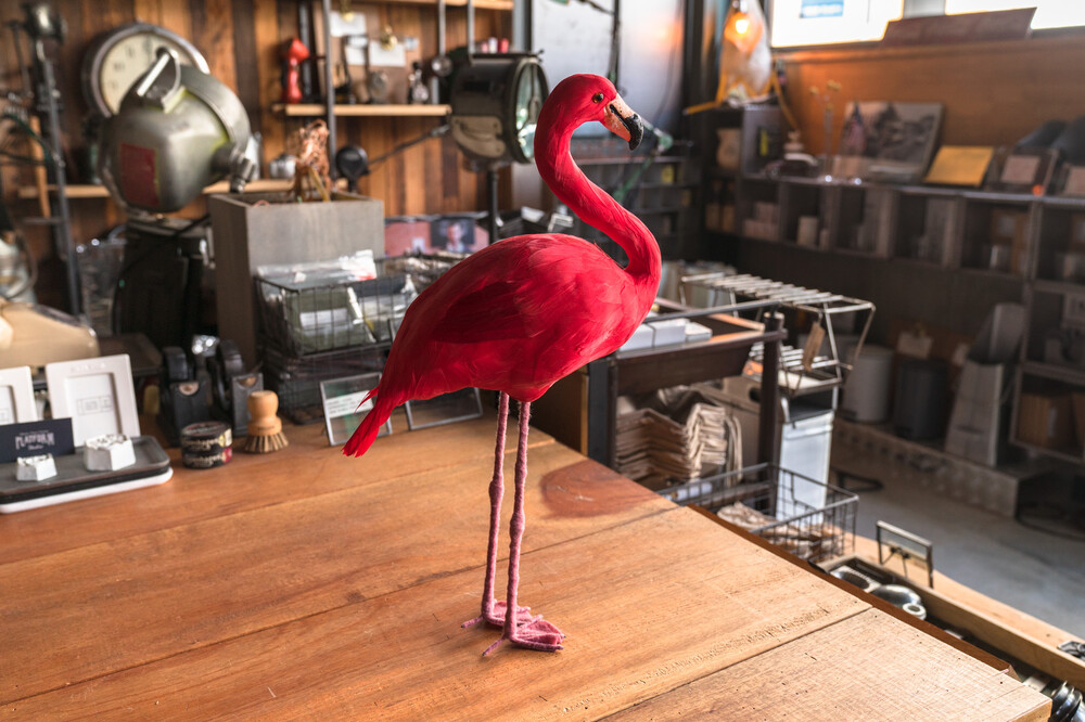 푸에브코 PUEBCO / ARTIFICIAL BIRDS Flamingo