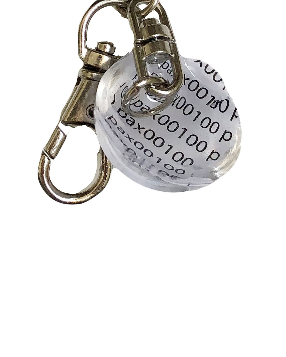 [easy wear] key ring 1