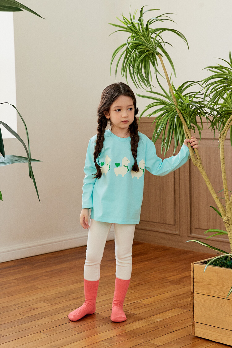 Lama Spring T (4color)