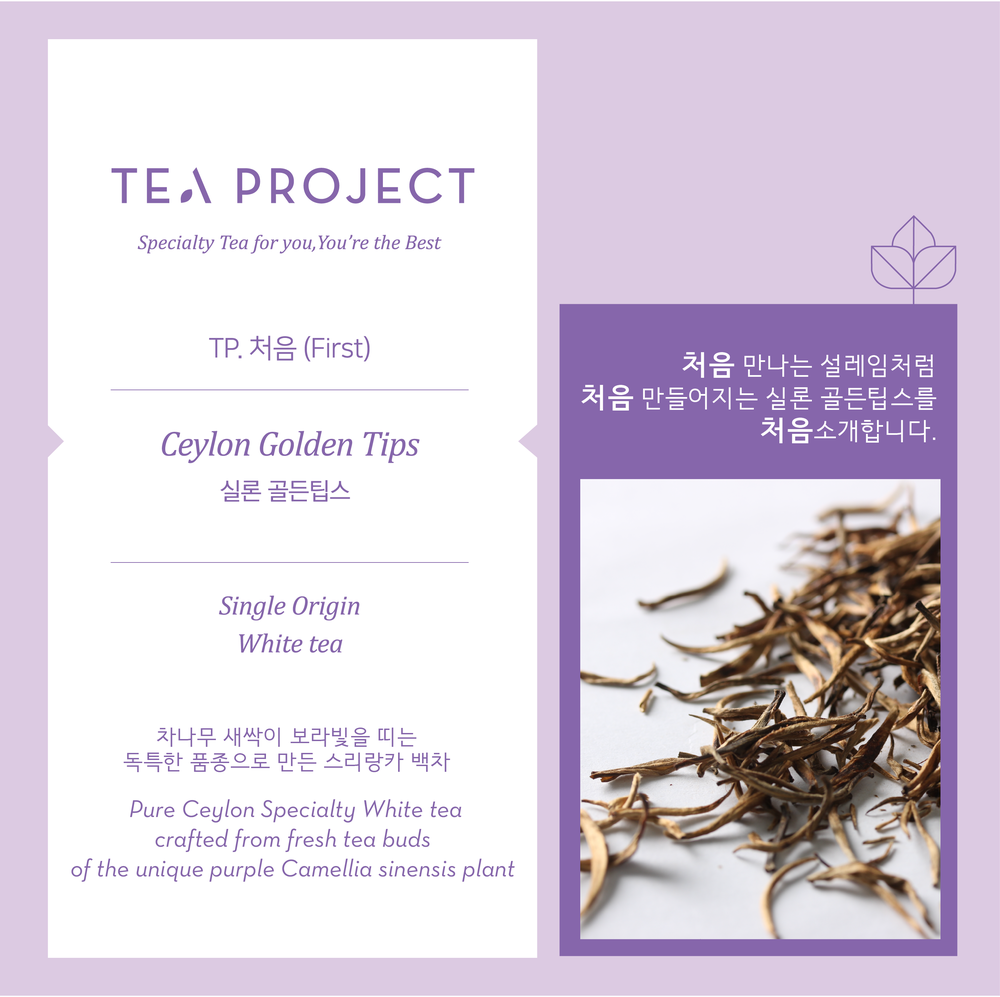 실론 골든팁스(Ceylon Golden tips) TP.처음