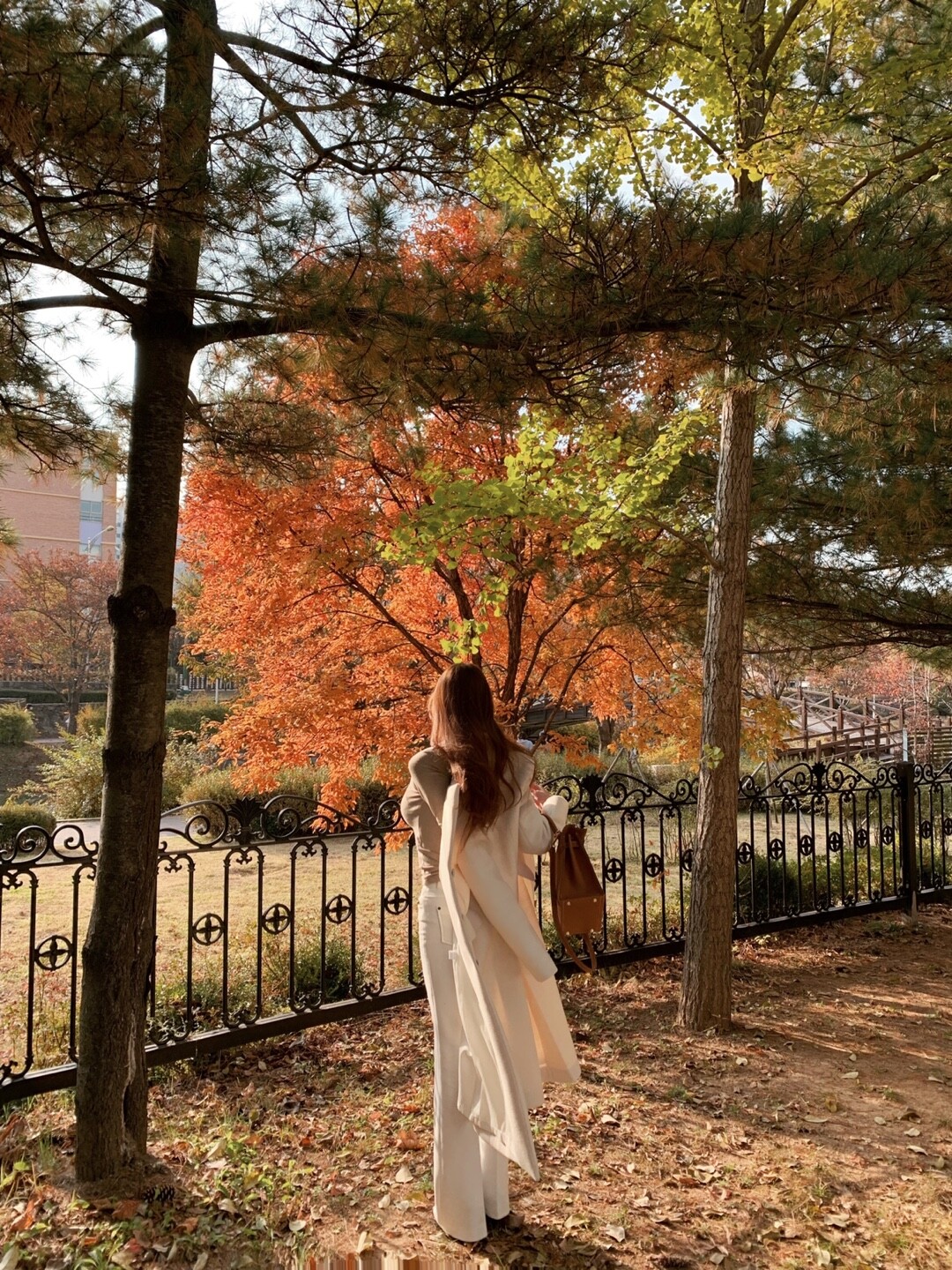 [exclusive] Louis 루이 부츠컷 SL PT (2col)