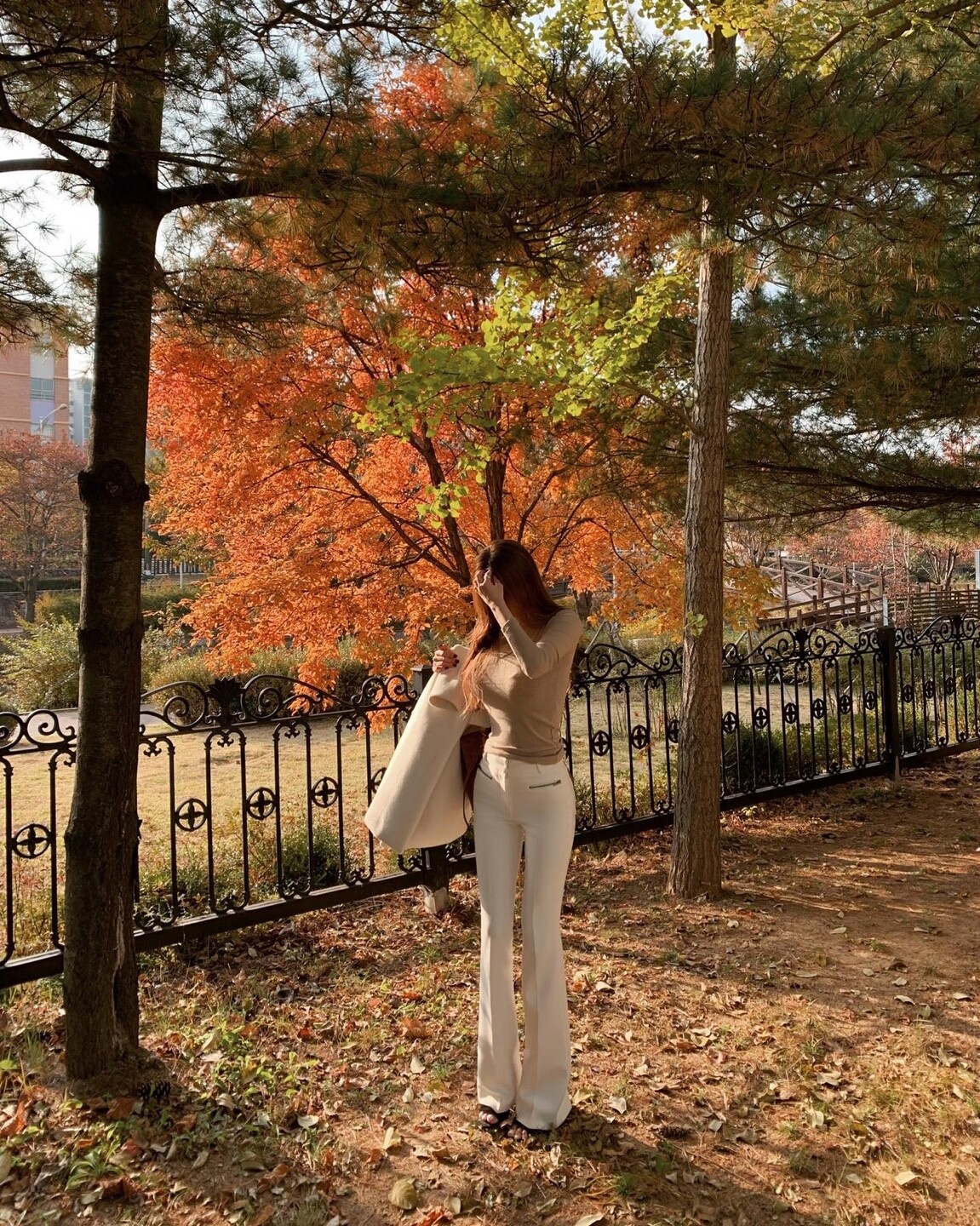 [exclusive] Louis 루이 부츠컷 SL PT (2col)