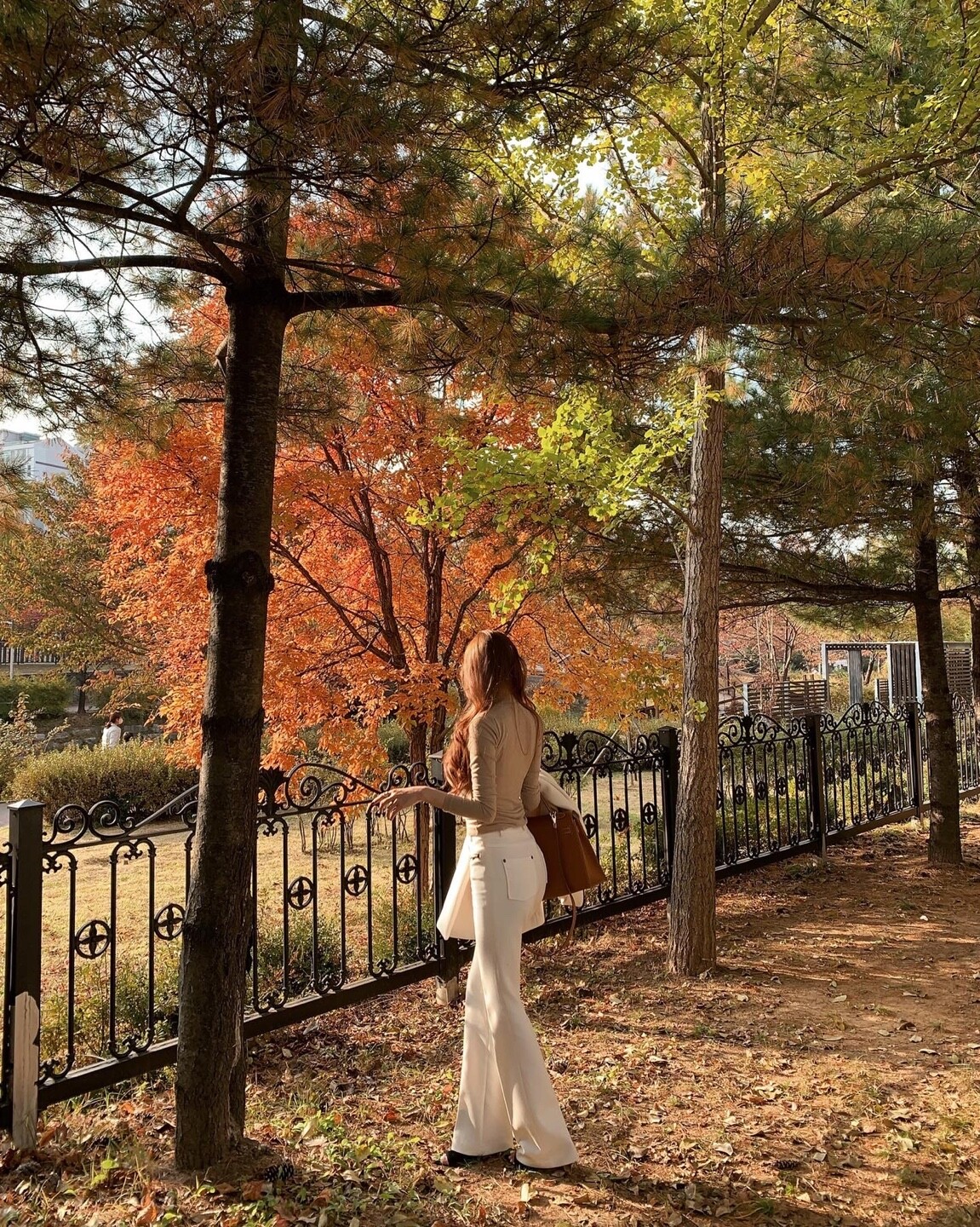 [exclusive] Louis 루이 부츠컷 SL PT (2col)