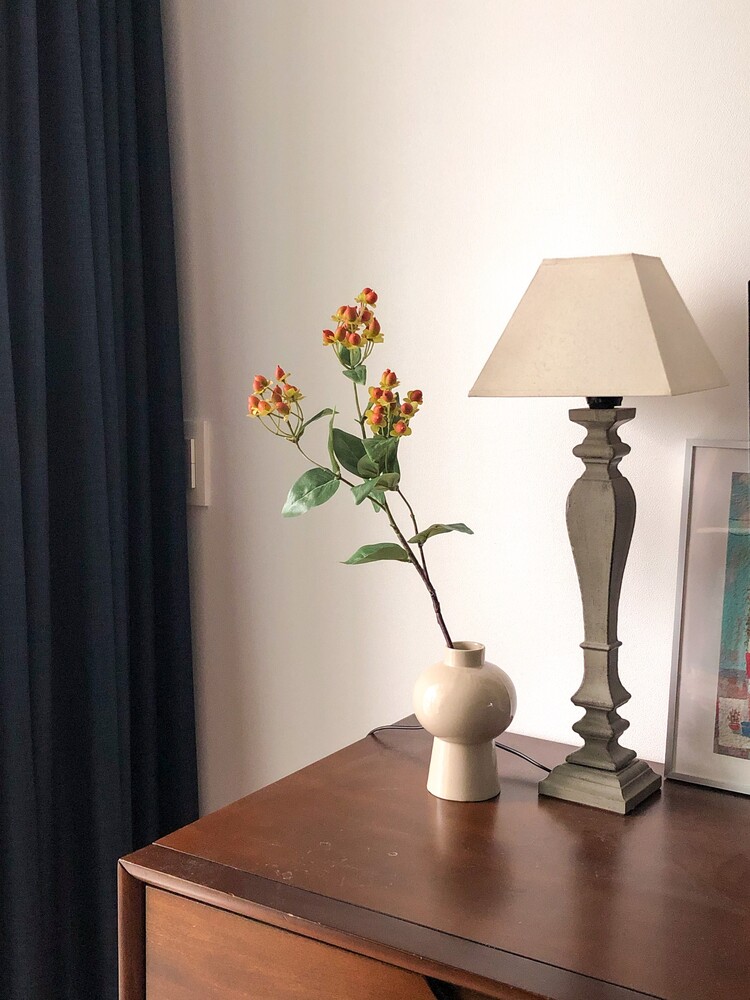 Orange hypericum berries (1대) - Amaranthine Blooms