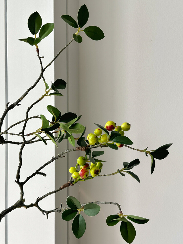 Green berry spray (1대) - Amaranthine Blooms