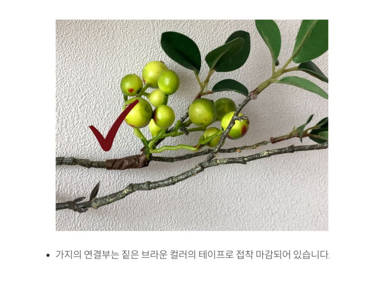 Green berry spray (1대) - Amaranthine Blooms