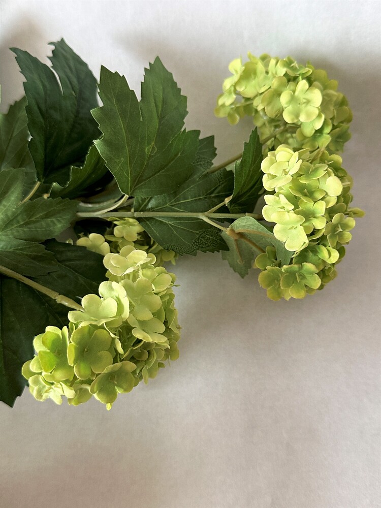 Vivid green viburnum snowball (1대) - Amaranthine Blooms
