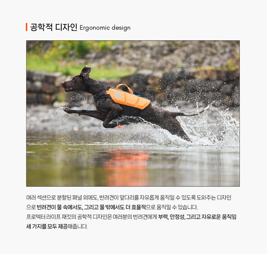 [논스톱 도그웨어] 2023프로텍터 라이프 재킷