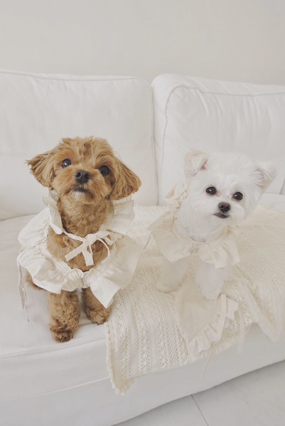 바잇미 :: COMELY 커믈리 퓨어 드레스