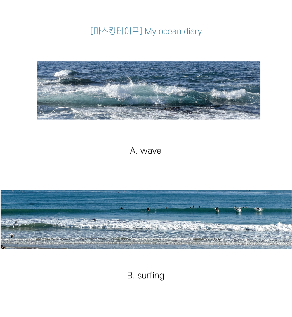 마스킹테이프 My ocean diary