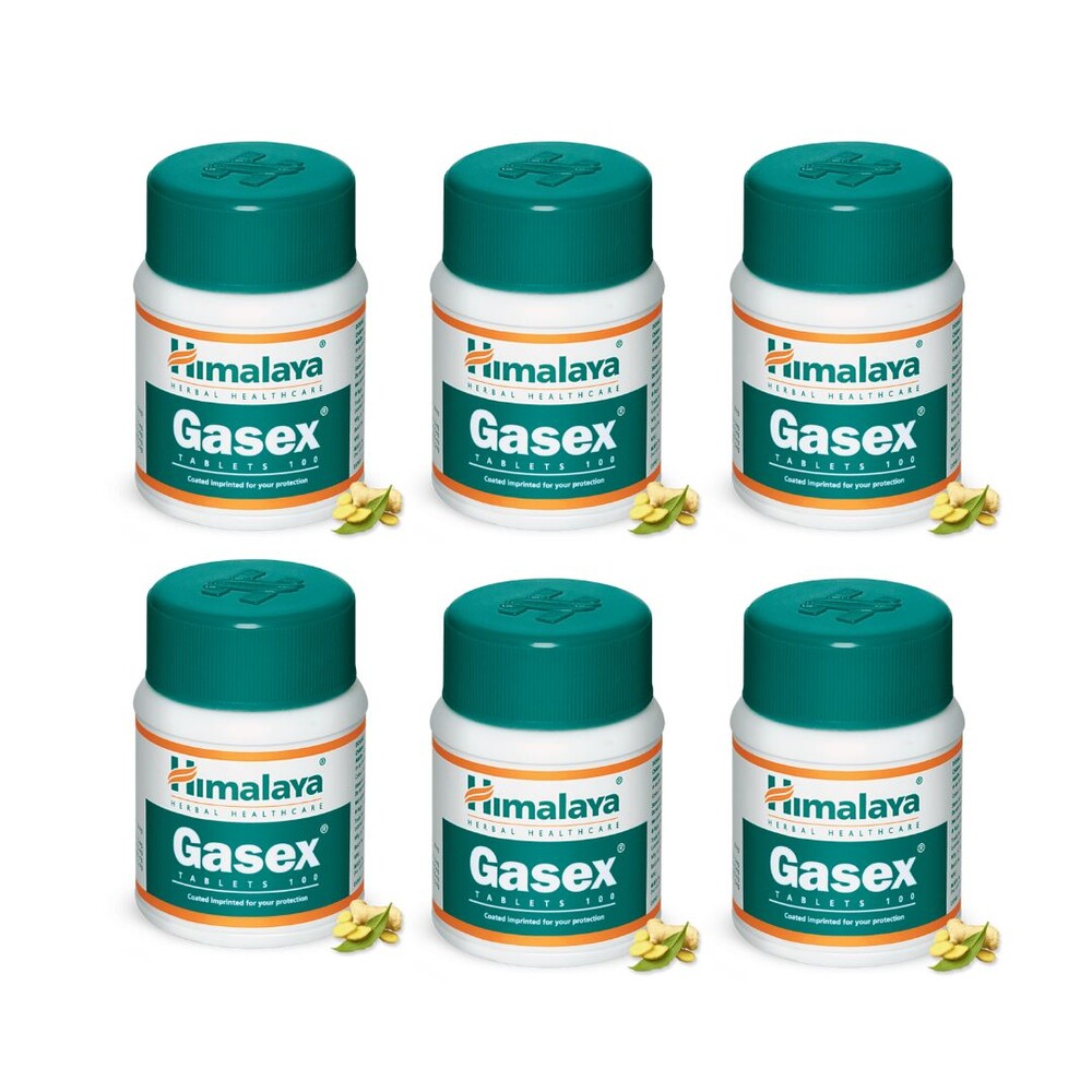 히말라야 가스엑스 Gasex 100정 X 6세트 소화개선