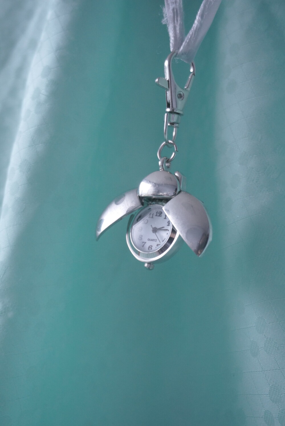 ladybug watch Keyring