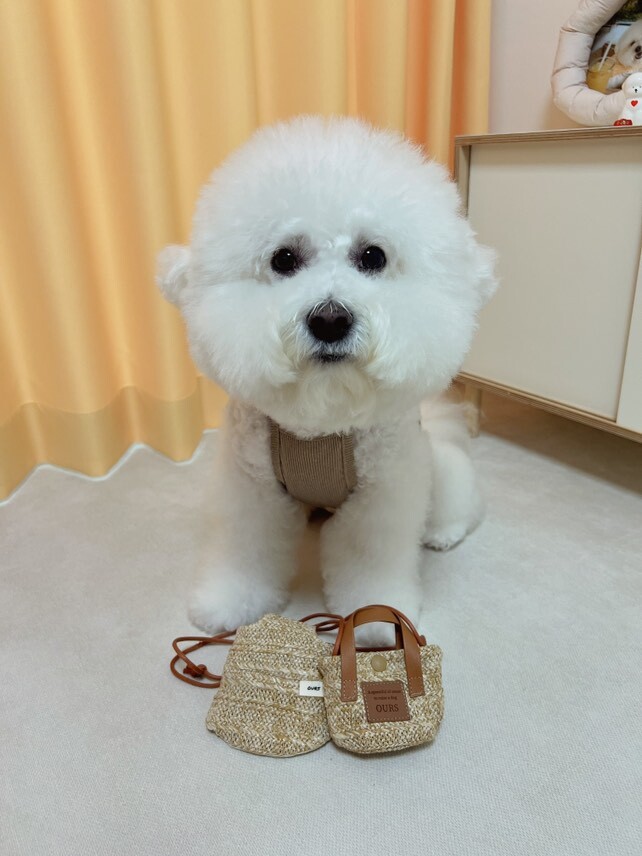 [마감] 로고 탑 나시 (mocamus) ☕🤎