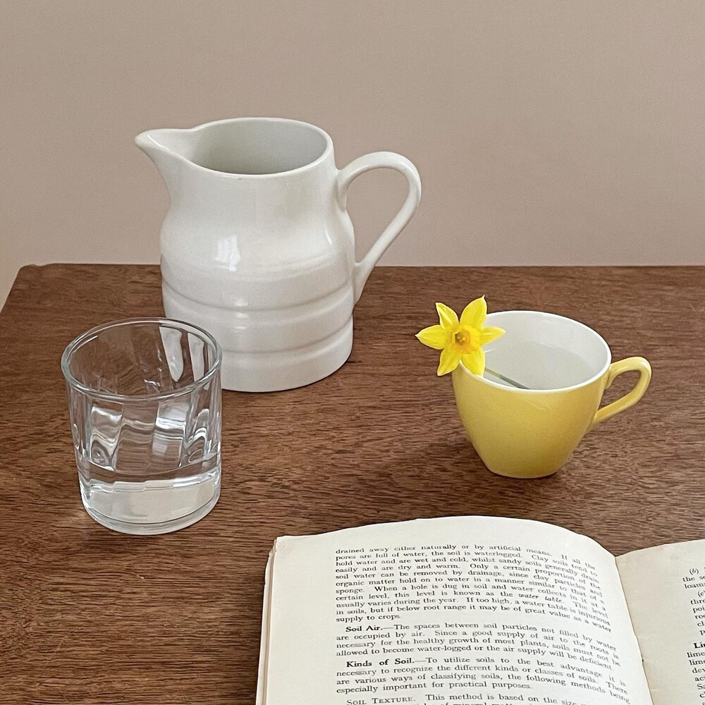 1960s english white water jug