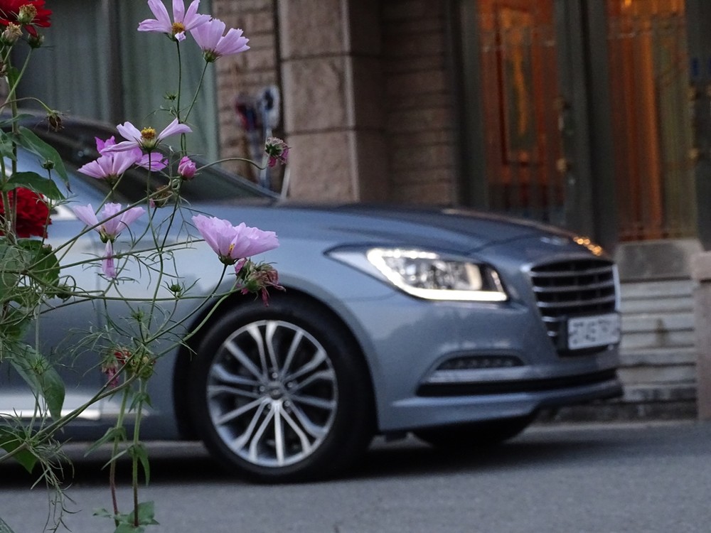 제네시스DH-330 모던 AWD