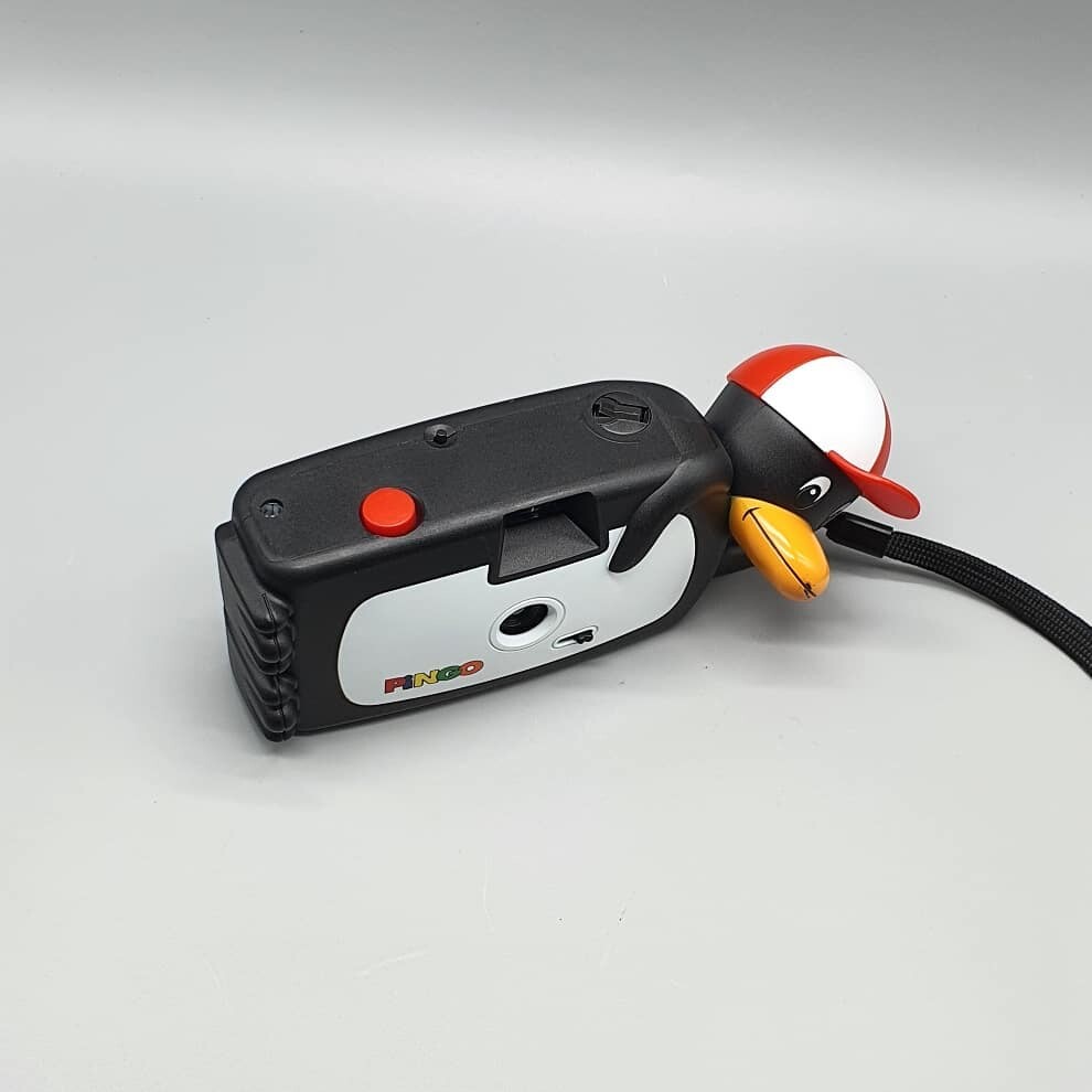 PINGO CAMERA
