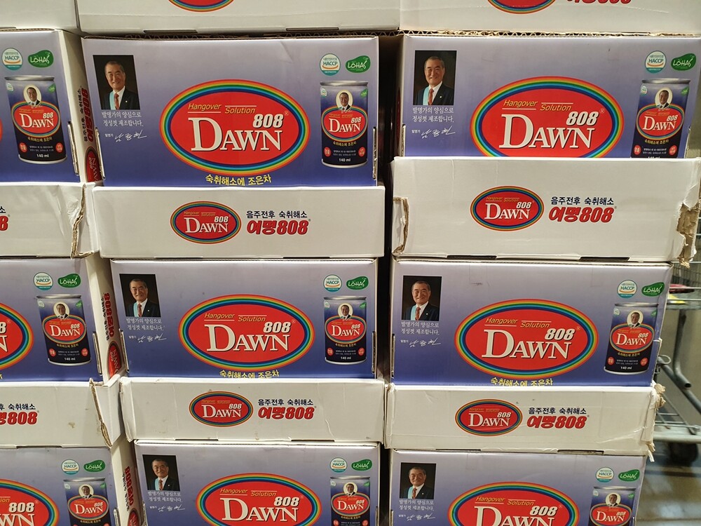 여명808 140ML*10캔