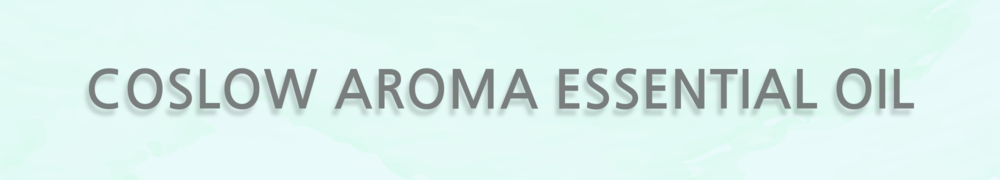 COSLOW ㅣ 코슬로우