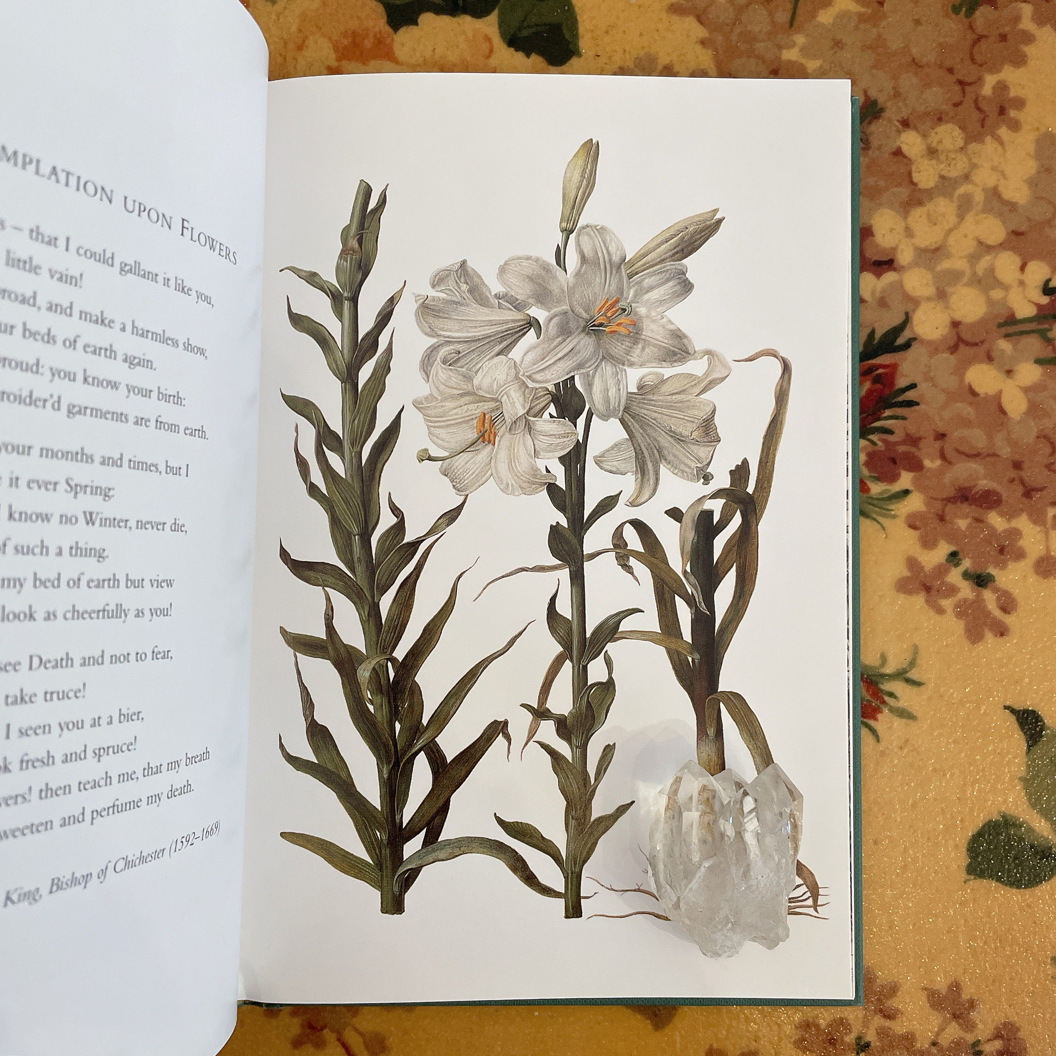 vintage book of garden flowers and poems