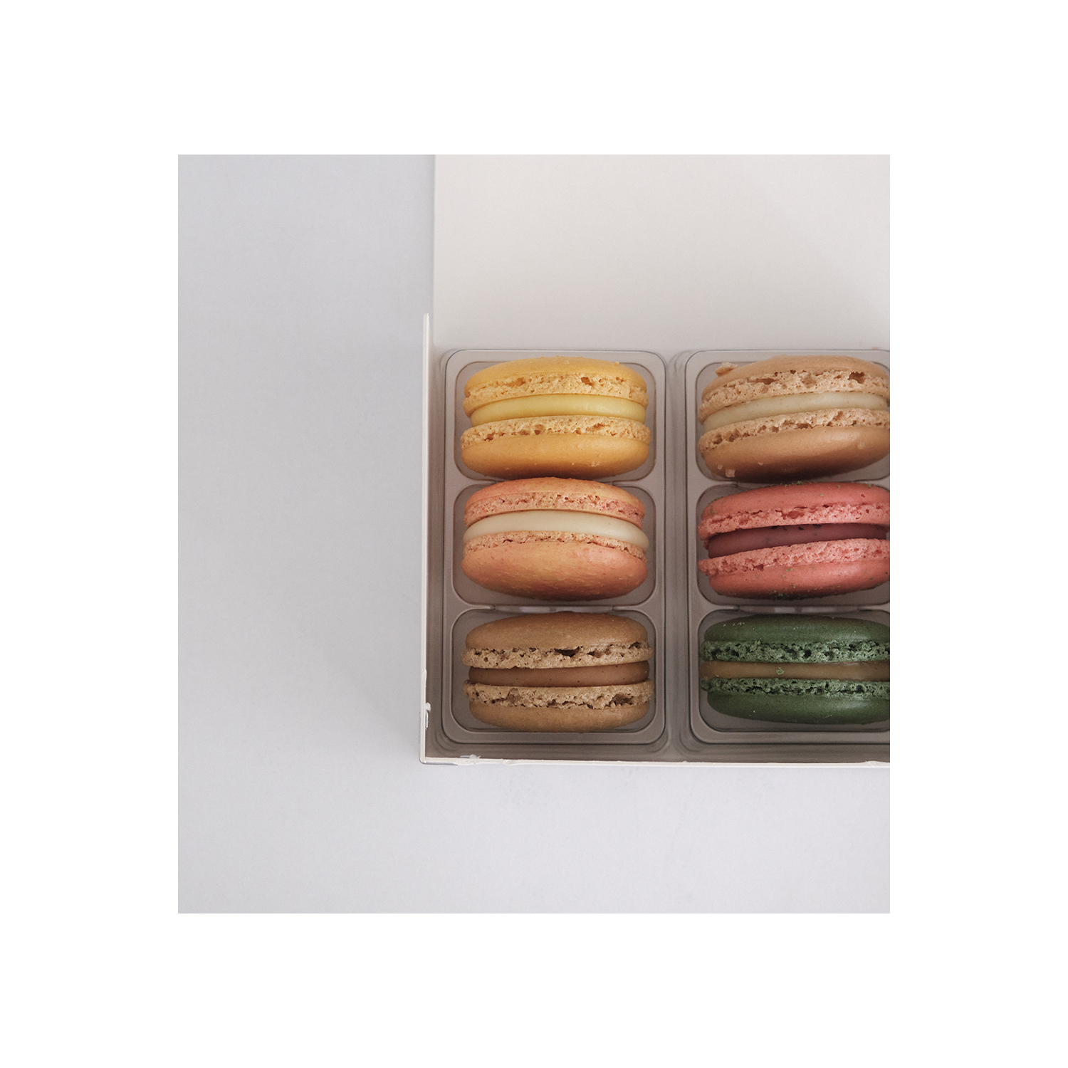 6 MACARONS DELIVERY SERVICE