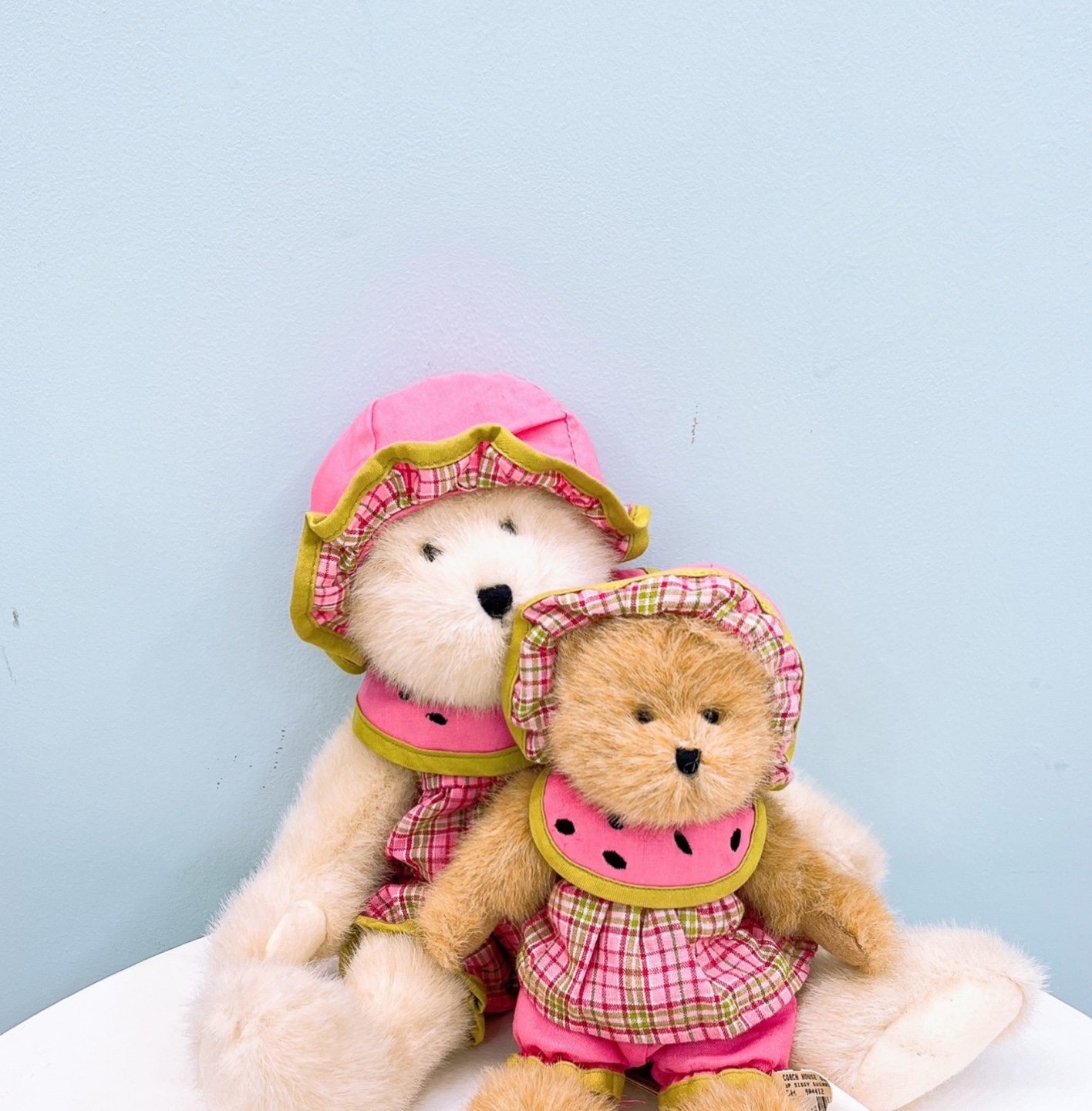 Watermelon bears