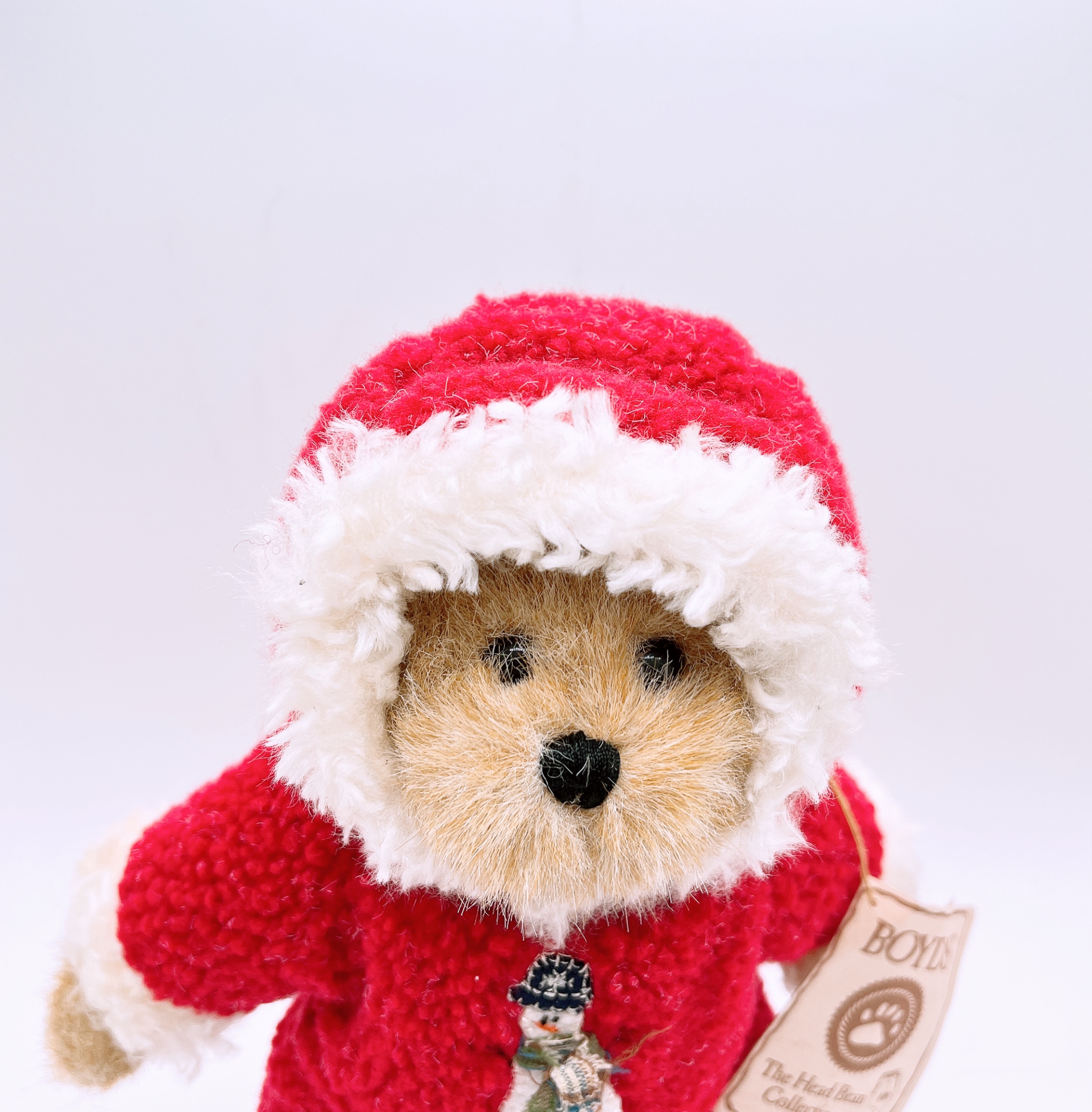Red hood baby boyds bear