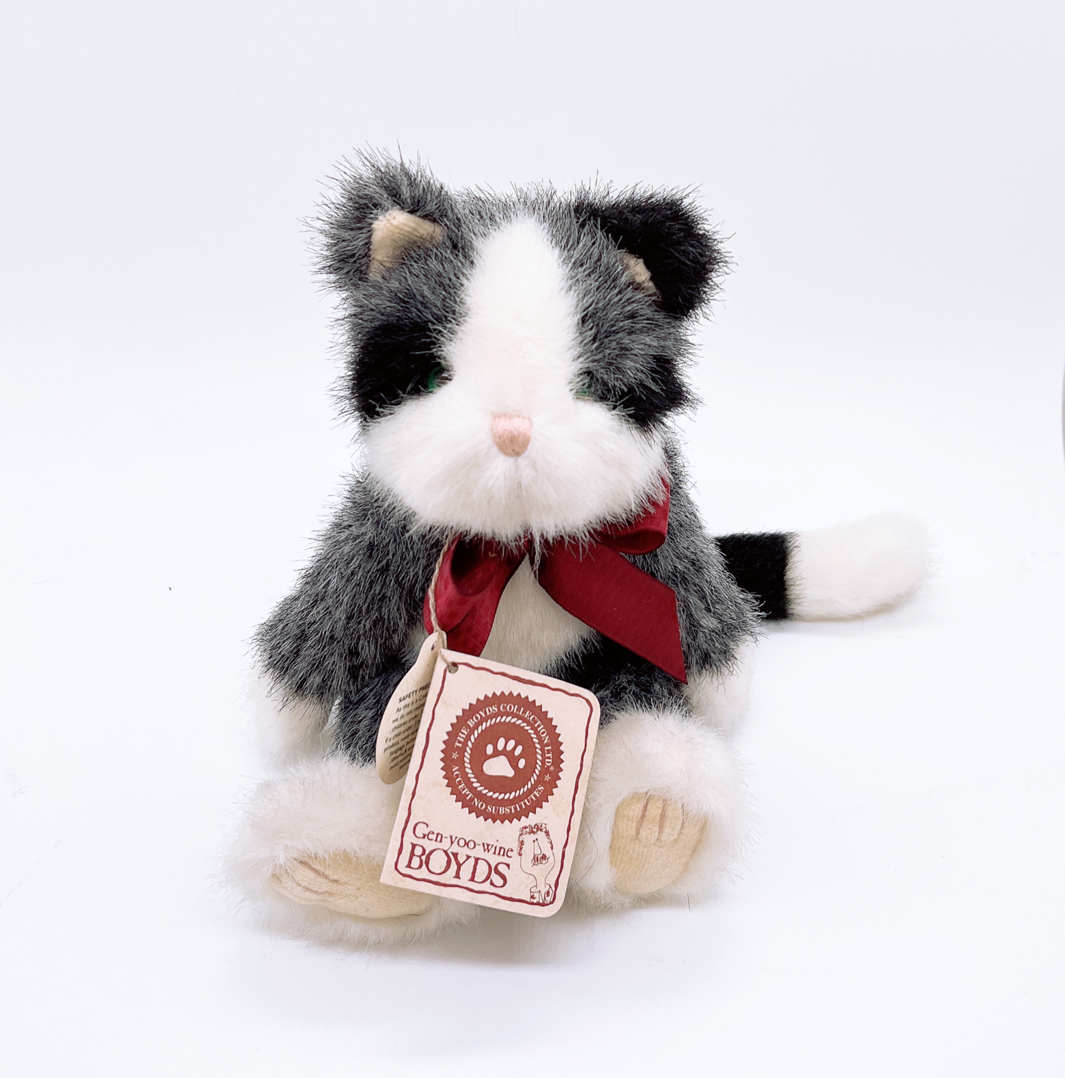 Black n Gray meow boyds cat