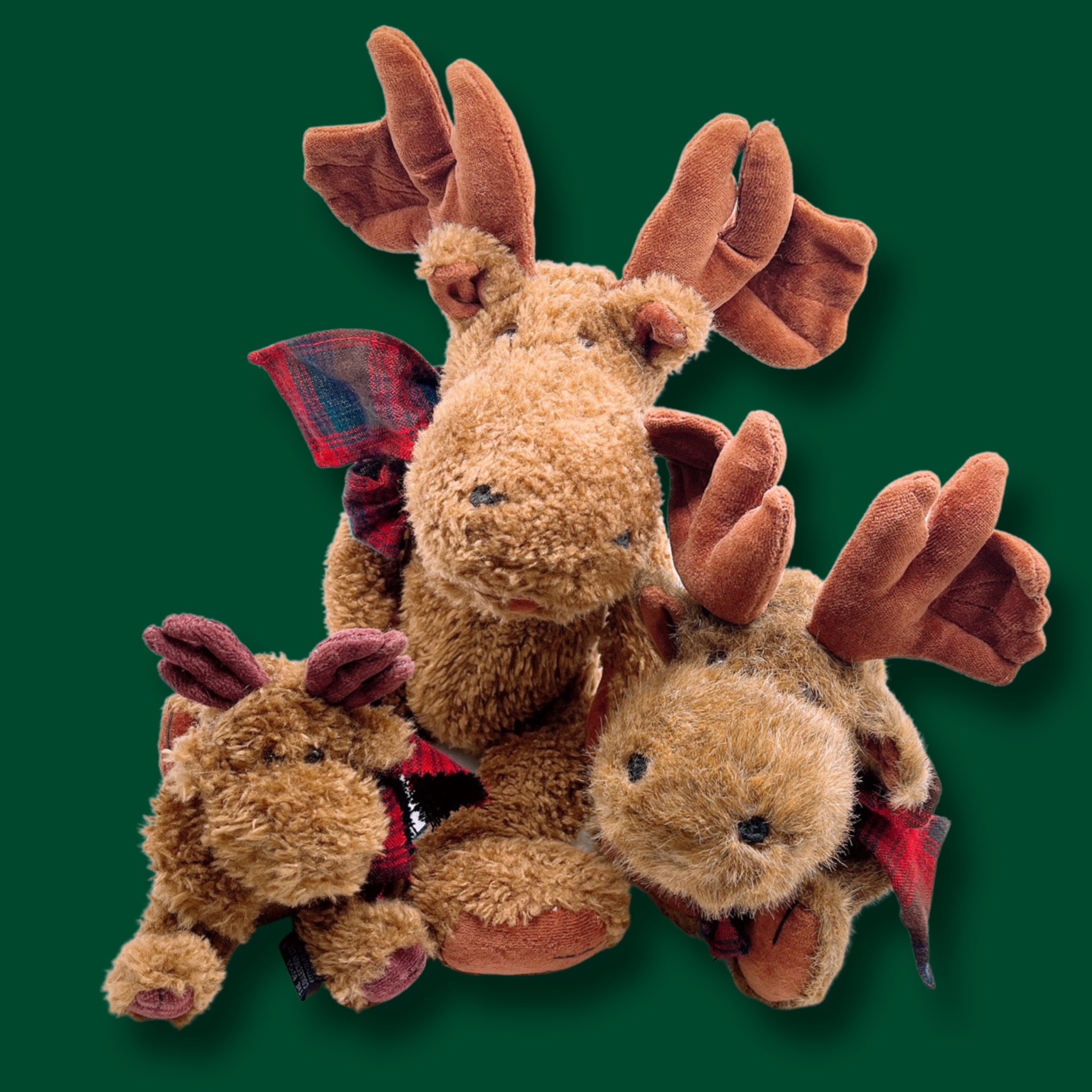 Red muffler moose family