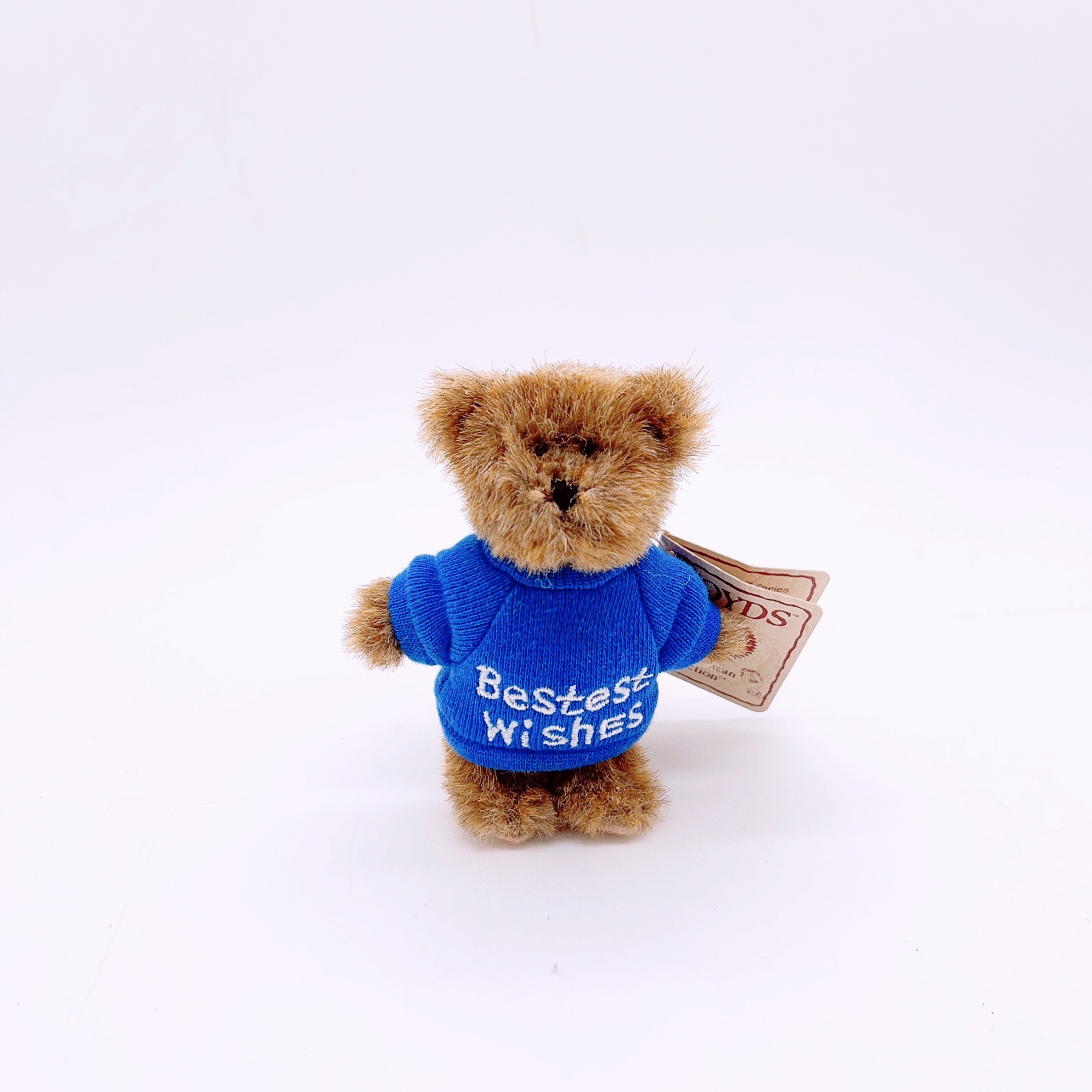 Bestest wishes mini message bear