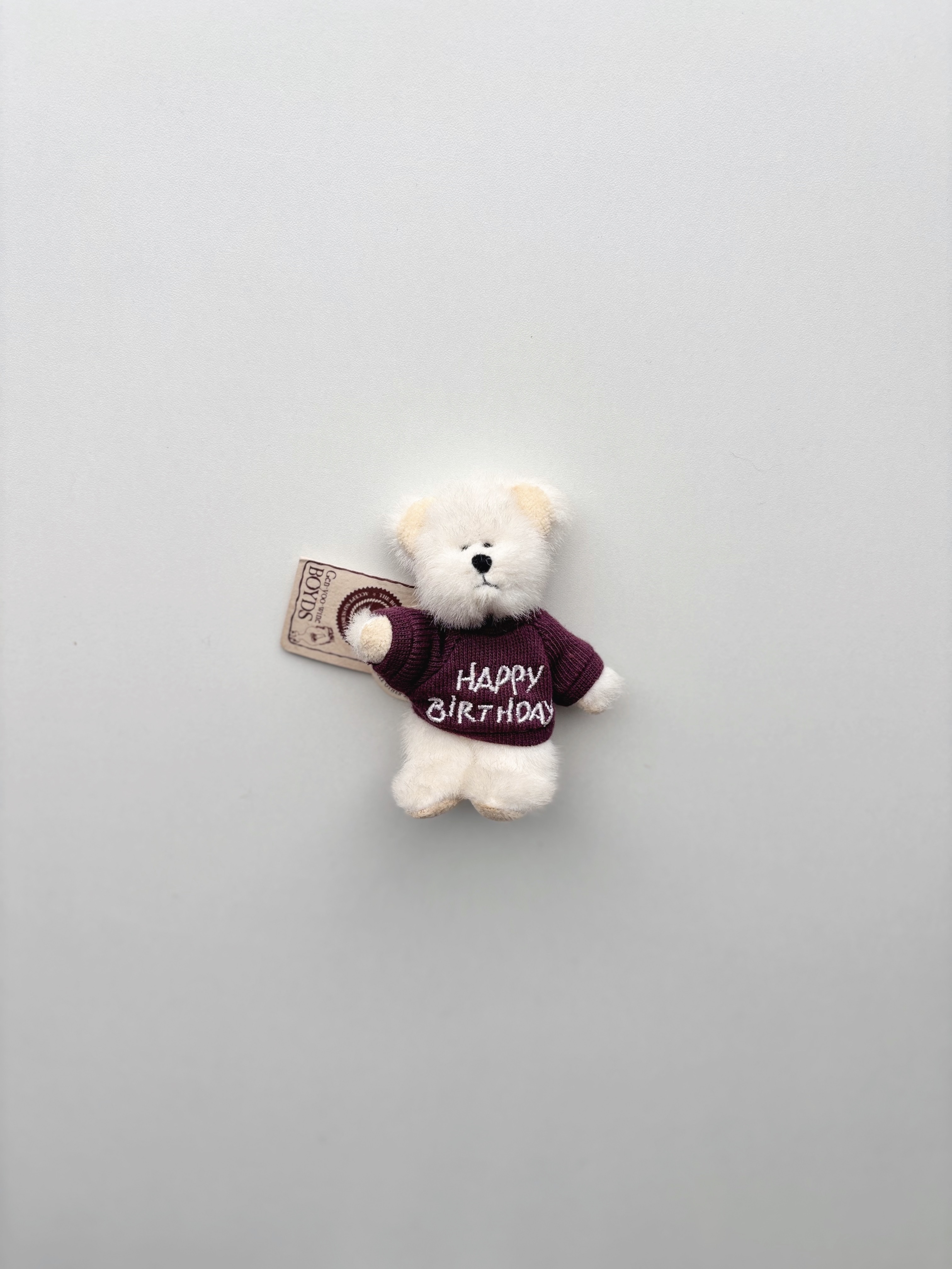 Boyds message bear HBD - purple