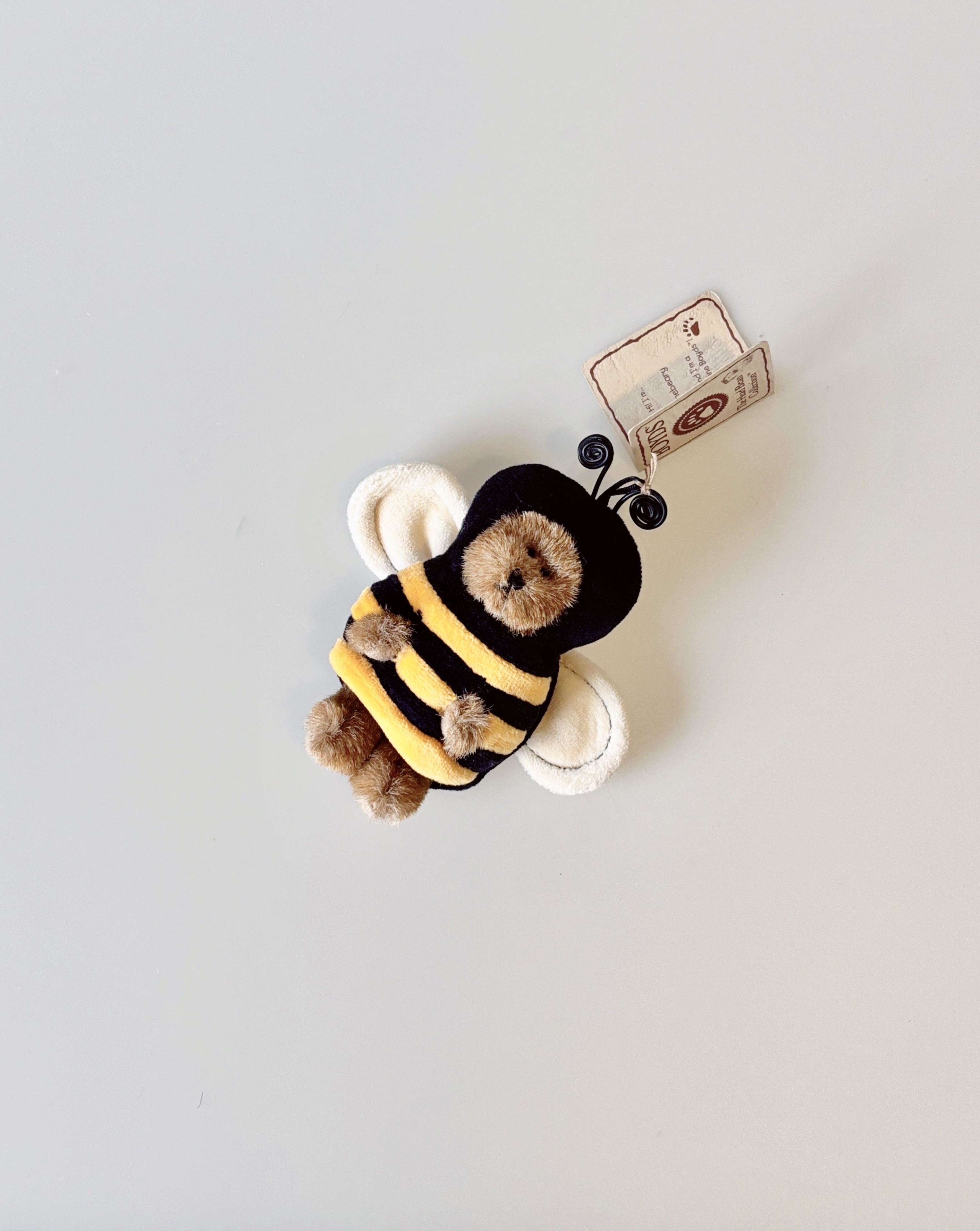 Calendar series June bee costume bear