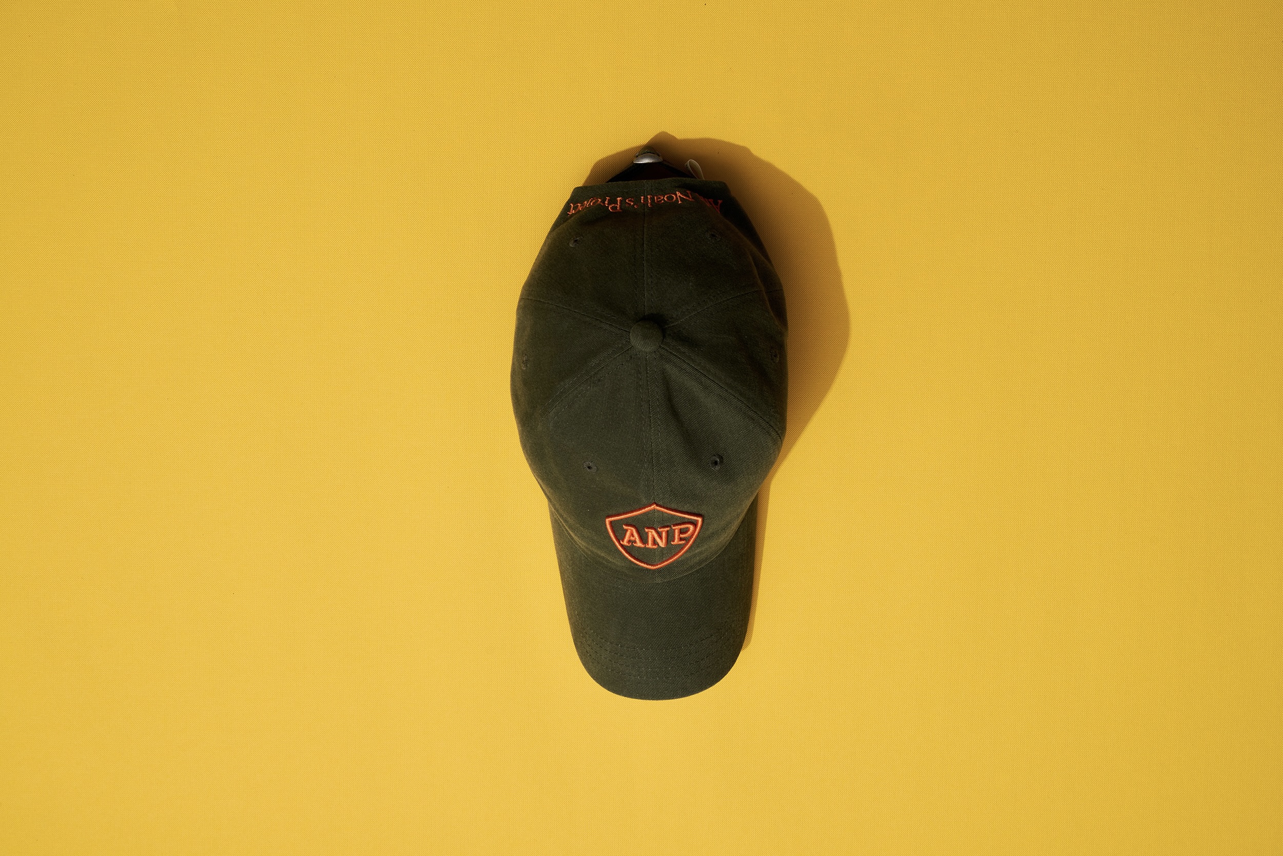 ANP. Initial Ball Cap