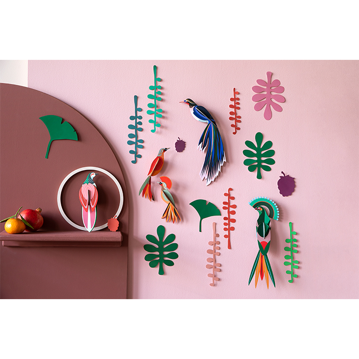 Bird Observer | ETERNAL JOURNEY