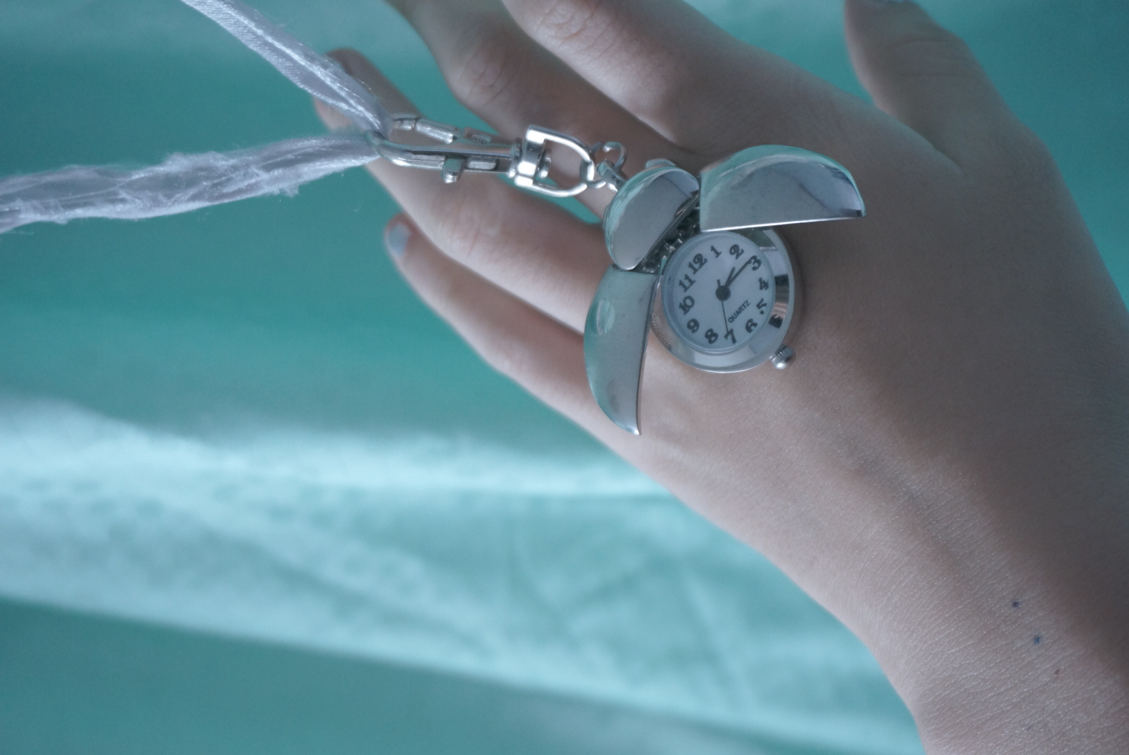 ladybug watch Keyring