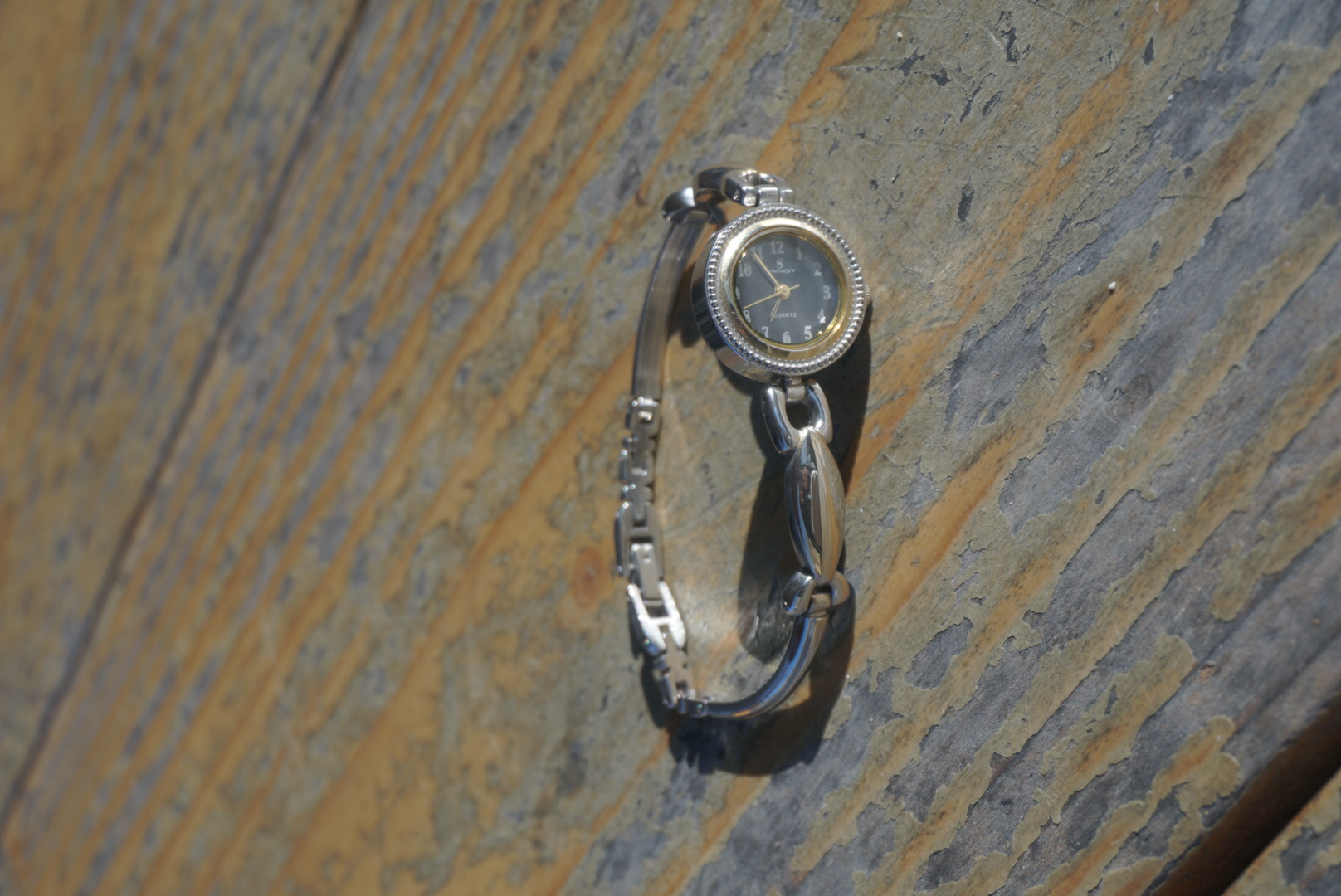 Steel Shadow Watch