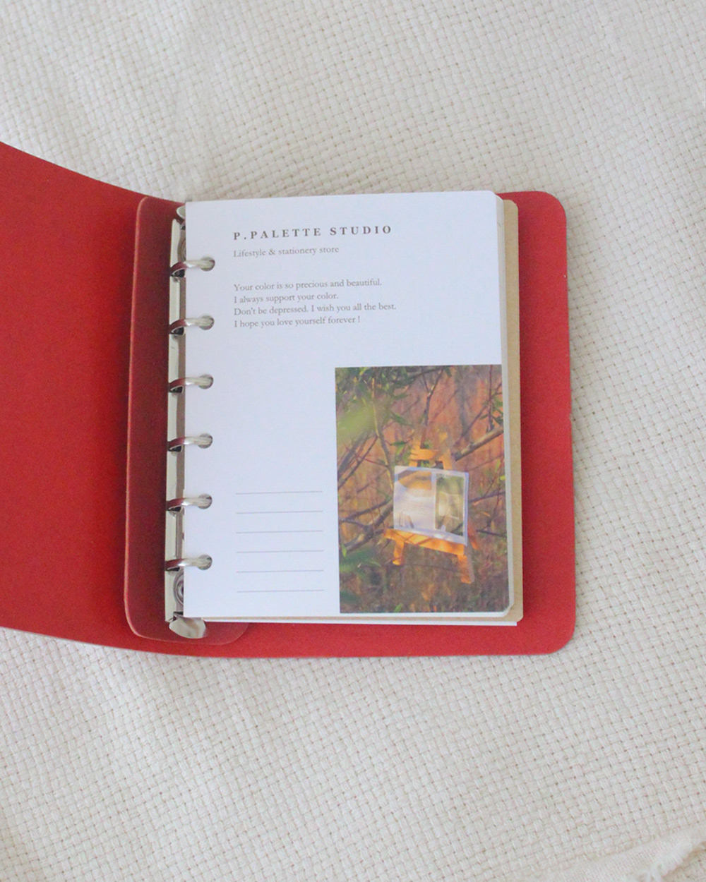 [시즌한정] Mini cherry red diary