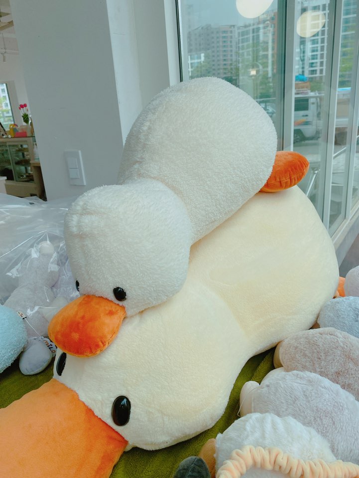 50cm Cozy Duck