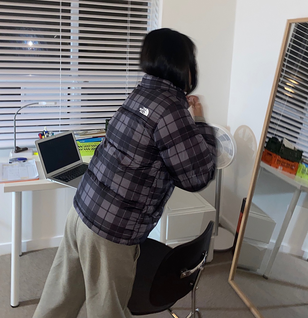 The North Face Woman Padding